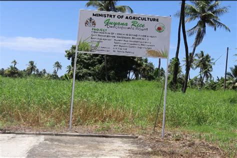 Wakenaam Rice Farmers To Soon Get Dryer And Storage Bond NDC Chairman
