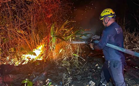 Incendio En San Onofre Entró En Fase Terminal LarazÓnco