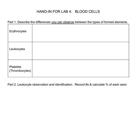 Solved Part 1 Describe The Differences Vou Can Observe