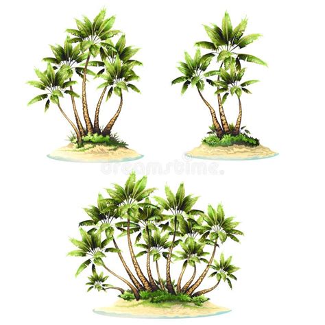Set Of Various Palm Trees Vector Illustration Stock Vector