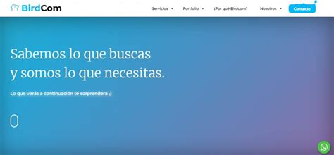 ¿cómo Usar Web Developer ¡tutorial En Español Birdcom