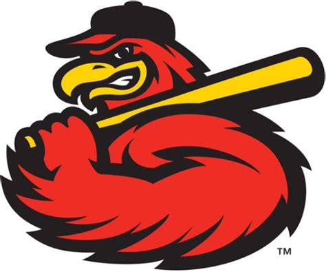 Grading Bird Themed Minor League Baseball Teams Artofit