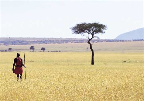 3 Nights 4 Days Best Of Masai Mara Road Safari From Nairobi Prince Tours And Travel