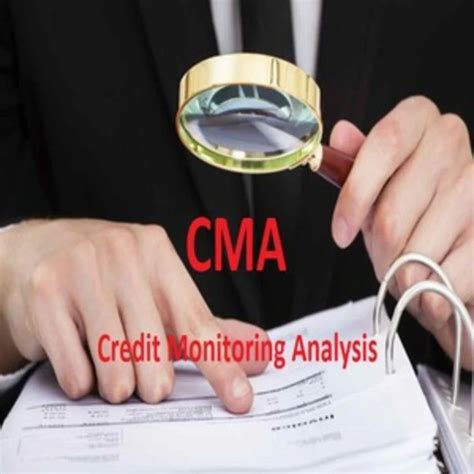 Project Report And Cma Data At Project In New Delhi Id