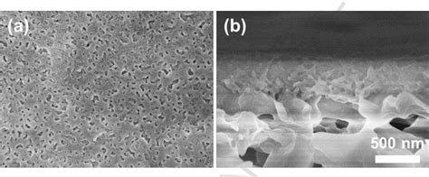 Figure 2 From Selective Swelling Of Polysulfonepolyethylene Glycol