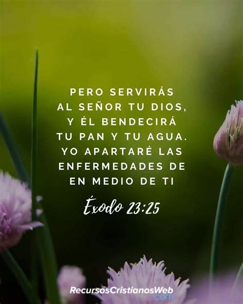 Versículos Bíblicos De Bendición Éxodo 2325 Versículos De La Biblia Versículos Bíblicos