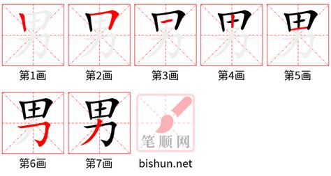 男的笔顺笔画顺序汉字男的笔顺动画