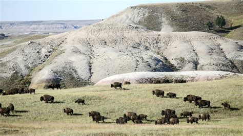 Parc National Des Badlands Faits Guide Météo Et Photos