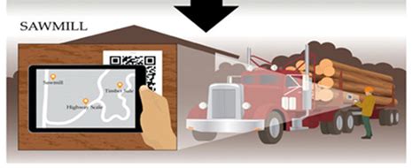 Illustration Of The Use Of Qr Codes And The Smarttree Mobile App