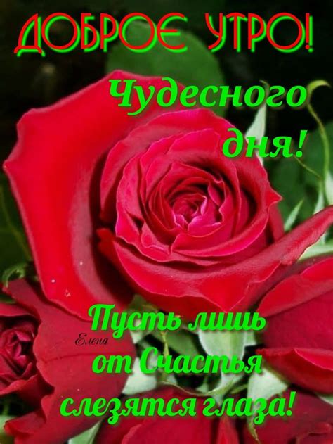 Доброе утречко