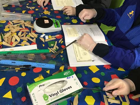 Class 10a Sandfield Park