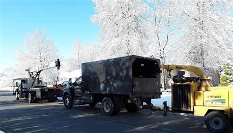Tree Experts Fort Wayne IN Mudrack Tree