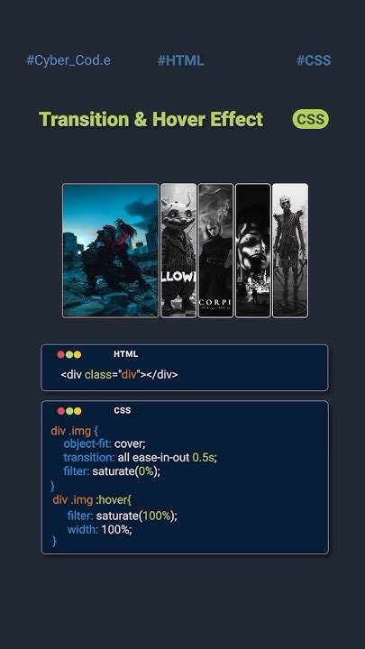 Css Transitions And Hover Effects The Complete Guide Youtube