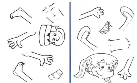 Partes Del Cuerpo Humano Para Recortar Y Pegar Imagui