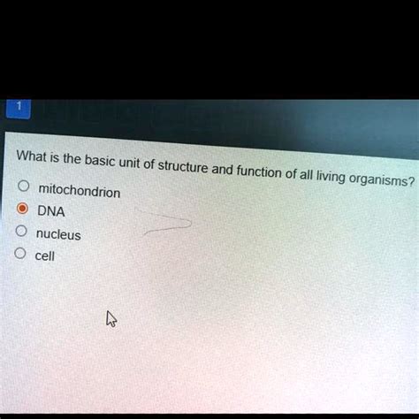 Solved What Is The Basic Unit Of Structure And Function Of All Living