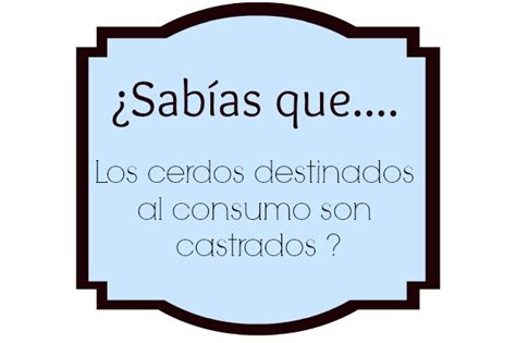 Carnicería Calabazón ¿sabÍas Que Cerdos Castrados