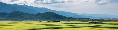 掺混肥料 氮钾追施肥—吉林沃尔劲生态肥业有限责任公司