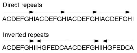 What Are Direct Repeats And Inverted Repeats Of Genome