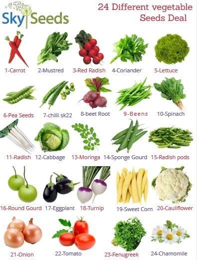 24 Vegetable Seeds Deal In Pakistan Sky Seeds 2025
