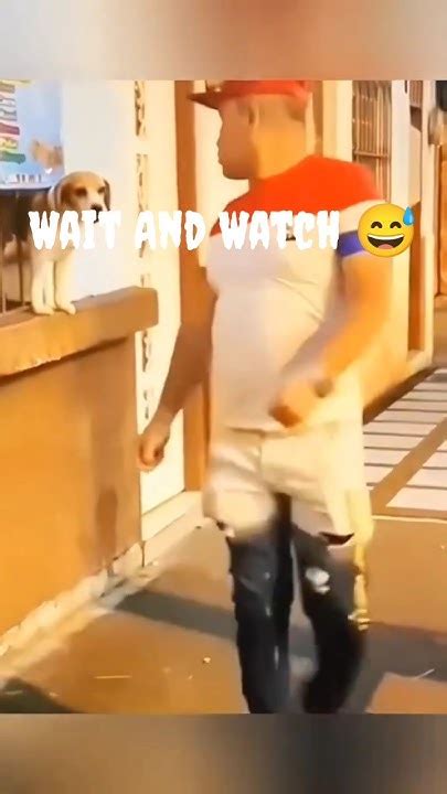 Trending Comedy Shorts Cant Stop Laughing Ep 216 Shorts Funny