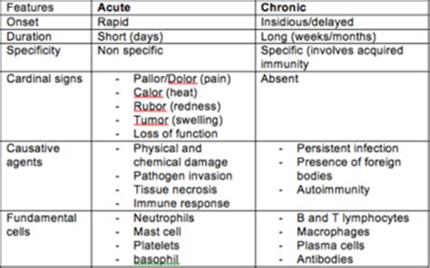 Pathology Ch Flashcards Quizlet