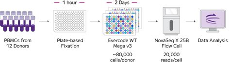 1 Million Human Pbmcs In A Single Whole Transcriptome Experiment Parse Biosciences