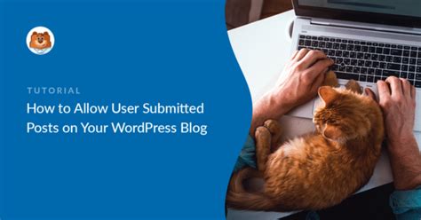 How To Accept User Submitted Posts In WordPress Easy Guide
