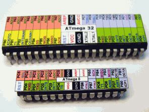 Information Labels For Atmel AVR Microcontroller Electronics Projects Circuits