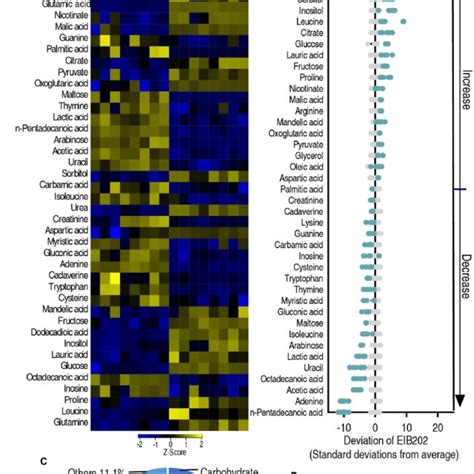 Differential Abundance Of Metabolites In Eib202 And Δfnr A Heat Map