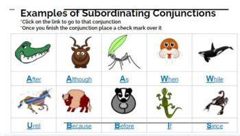 Introduction To Subordinating Conjunctions By Magical SLP TPT