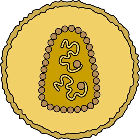 Rna Virus With Envelope Immature State Figure Science Figures