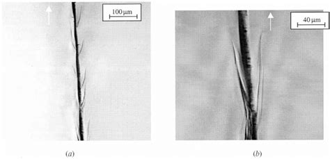 A Transmission Photograph Of A Quasi Static Crack In The X Y View Download Scientific