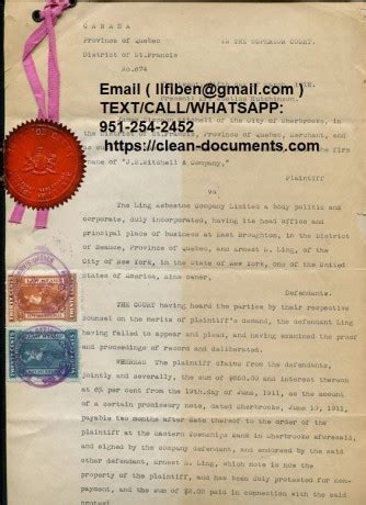 Real OR Fake Novelty Passports Drivers Licenses ID Cards