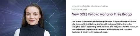 Ddls Fellowship The Evolving Networks Lab