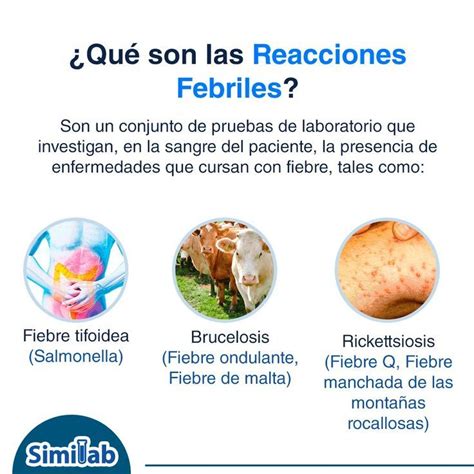 Reacciones Febriles Reactivo Para Reacciones Febriles Tifico H”