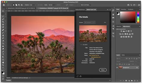 Adobe Atualizou O Pacote De Aplicativos Creative Cloud Avalache Not Cias