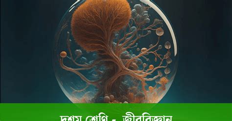 দশম শ্রেণি জীববিজ্ঞান অধ্যায় ৪ বহুনির্বাচনি প্রশ্ন ১ ১০