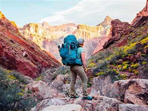 Rachael Schultz Insider