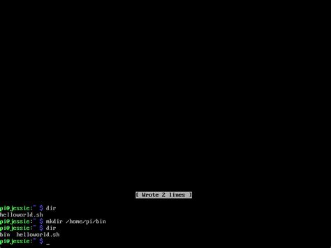 An Introduction To BIN Bash Ing On Raspbian Behind The Scenes