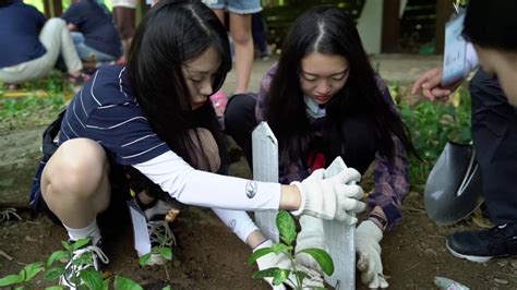 10th蹲點學生創意成果：台中財團法人水源地文教基金會形象影片 《魚》 Youtube