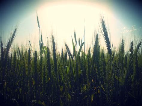 Hipster Desktop Wallpaper Wallpapersafari