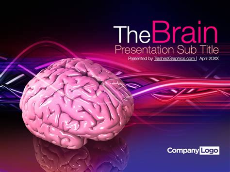 Human Brain Anatomy Ppt