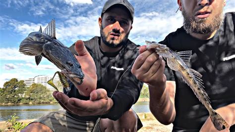 Landbased Urban Fishing Youtube
