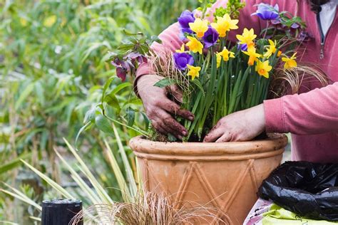 10 Spring Container Ideas Bbc Gardeners World Magazine