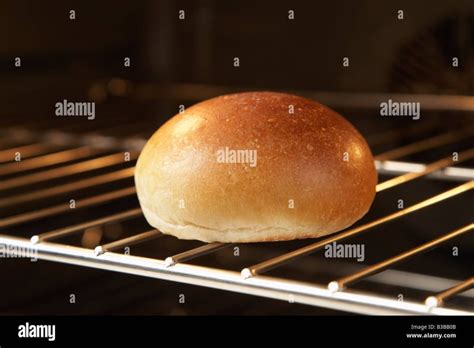 My Thoughts On Elysiajs Dev Community