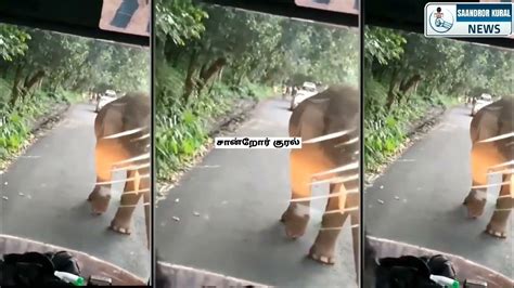 கேரளாவில் நடு ரோட்டில் வழிமறித்து நின்ற யானை தாஜா செய்து அனுப்பி