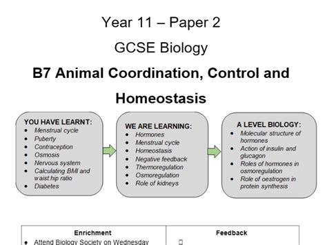 Edexcel Gcse Biology Booklet B7 Animal Control Coordination
