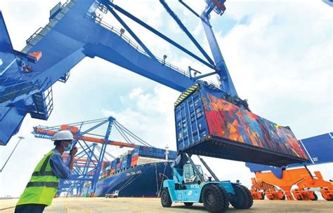 Wholesale Action Set For Export Gain