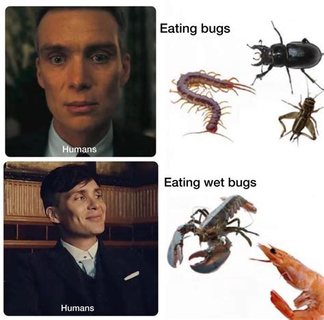 You Guys Dont Like Eating Bugs Rmemes I Will Not Eat The Bugs