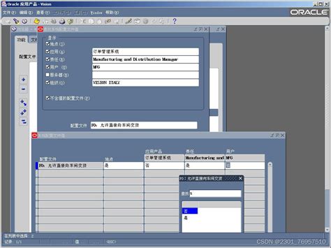 oracle ebs系统应用基础概述 2 oracle的页面用了什么flexfield怎么看 csdn博客
